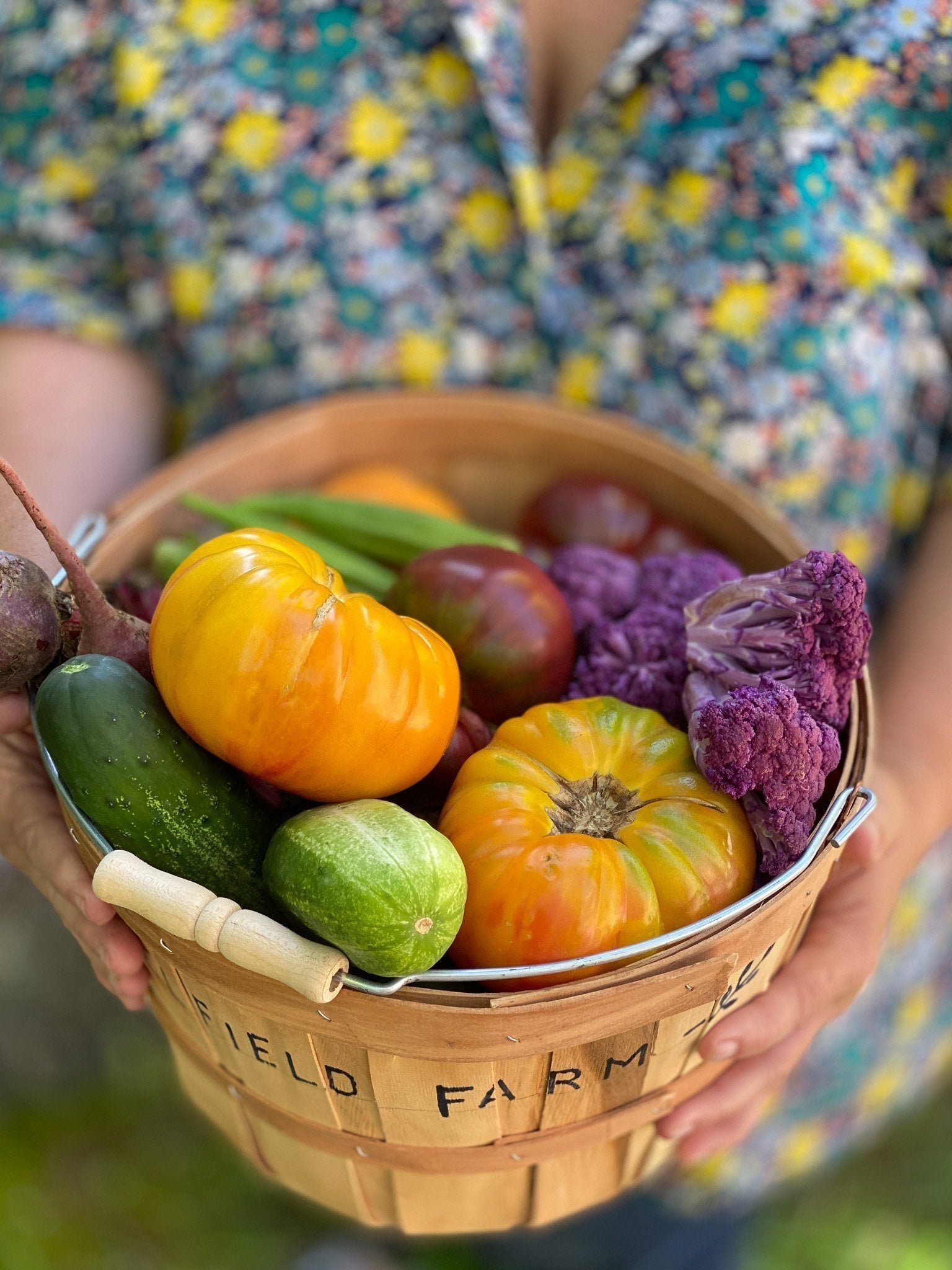 Early Fall Recipes – In The Curious Kitchen